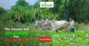 The causes and solutions for low agricultural productivity in India