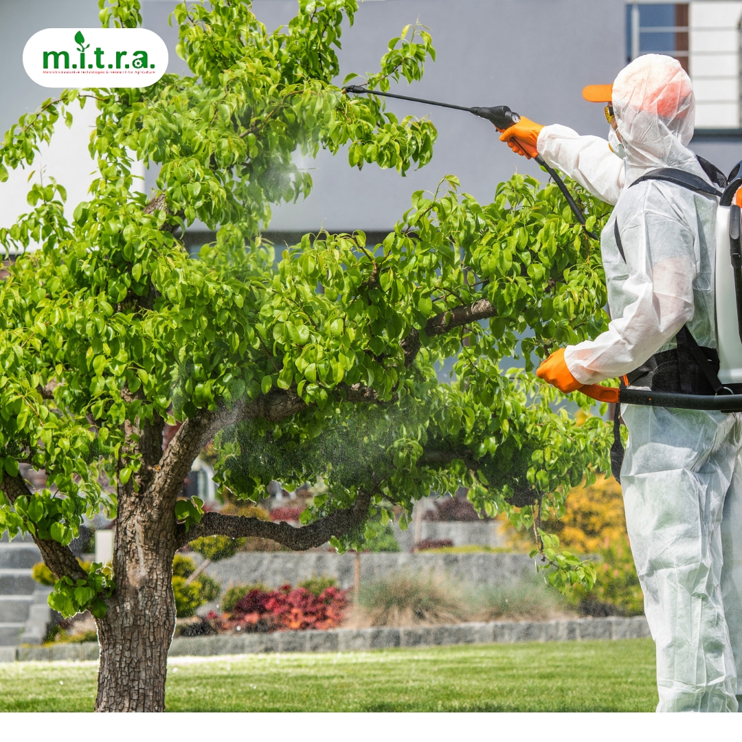 Seven Practices Of Sustainable Agriculture Ensuring A Greener Future