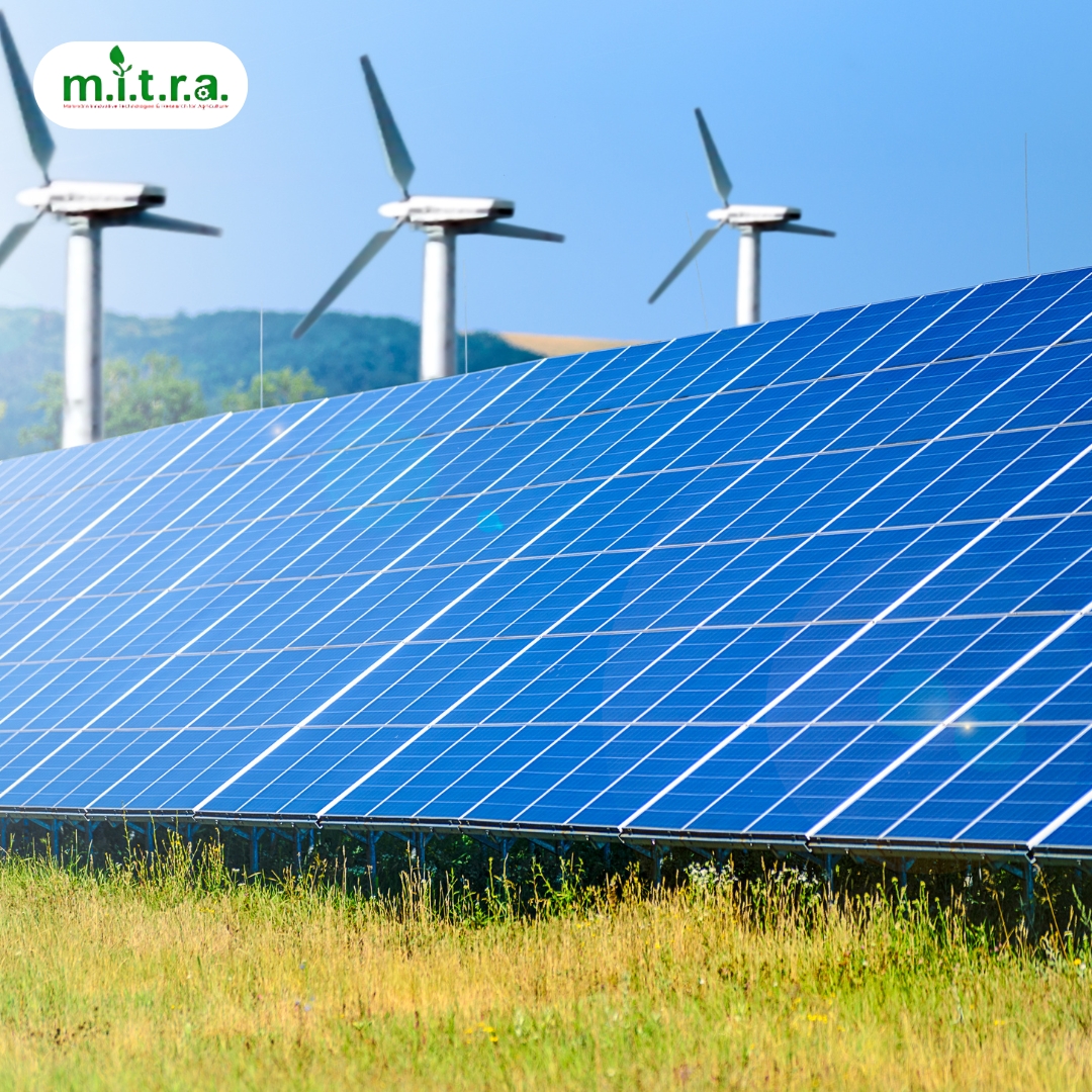 Seven Practices Of Sustainable Agriculture Ensuring A Greener Future