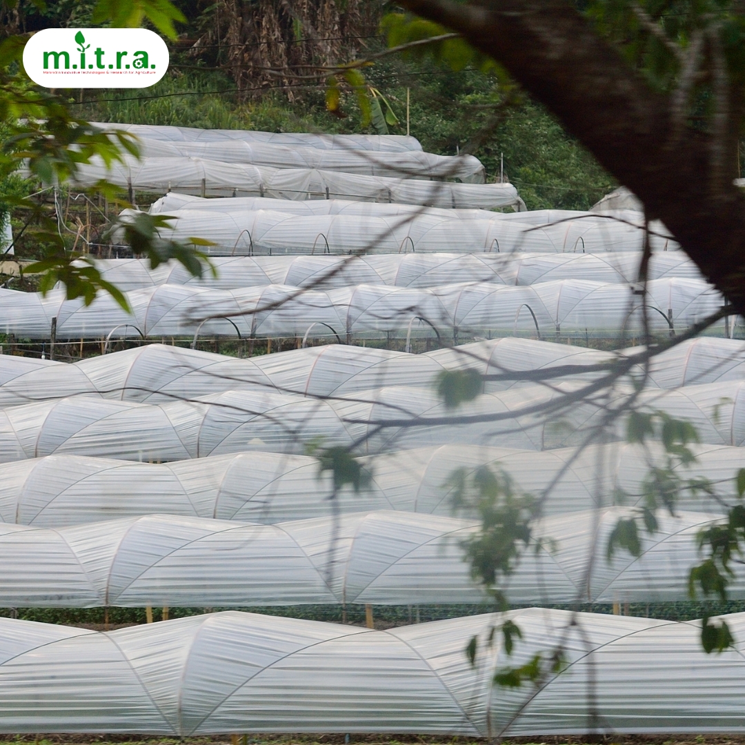 Different types of Farming techniques in India