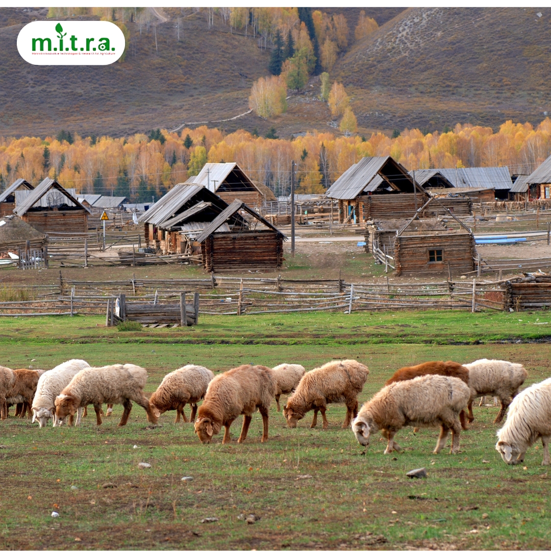 Different types of Farming techniques in India